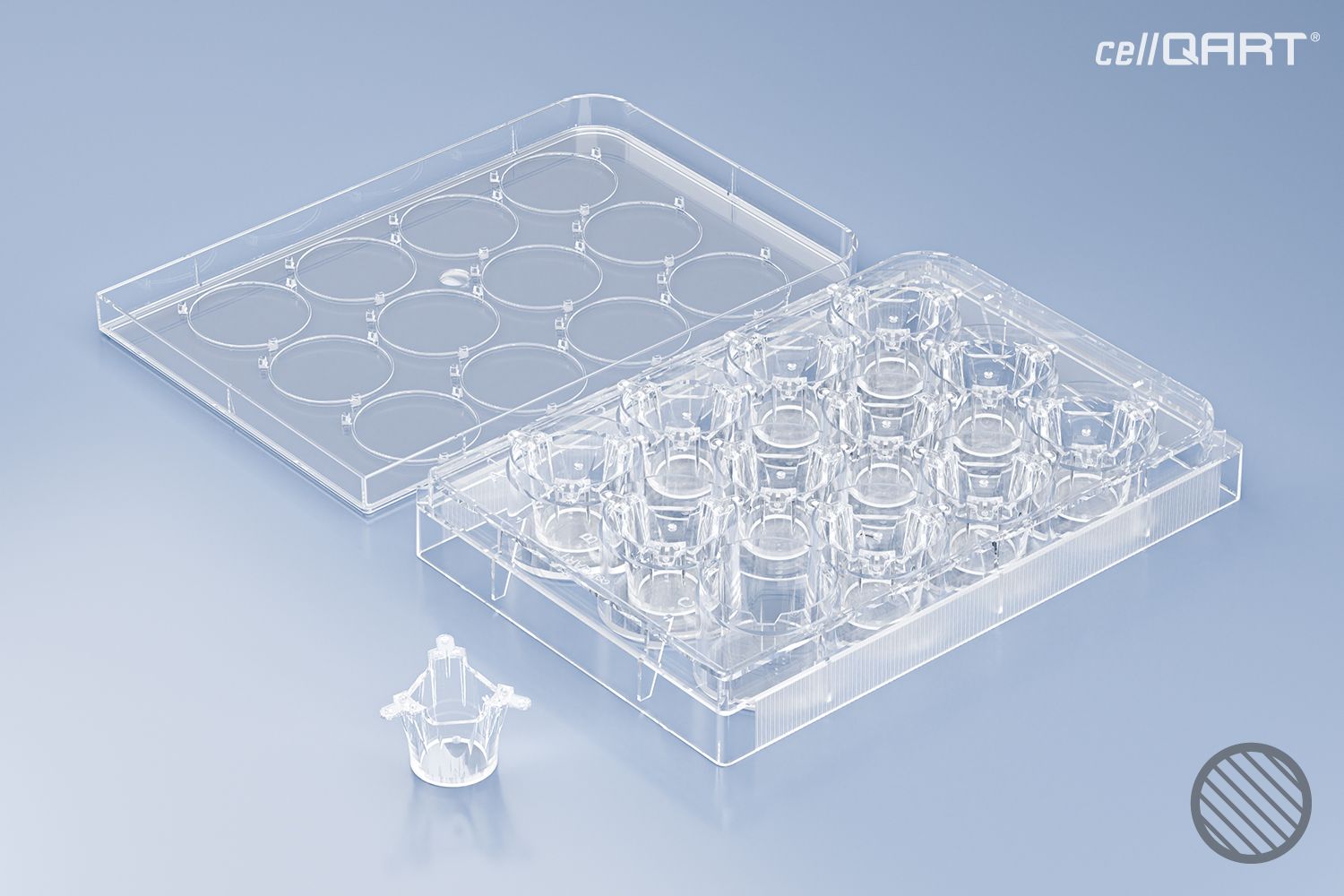 12-Well Plate 0.4 µm PET clear extended culture (FP) | 12-Well | Fully ...