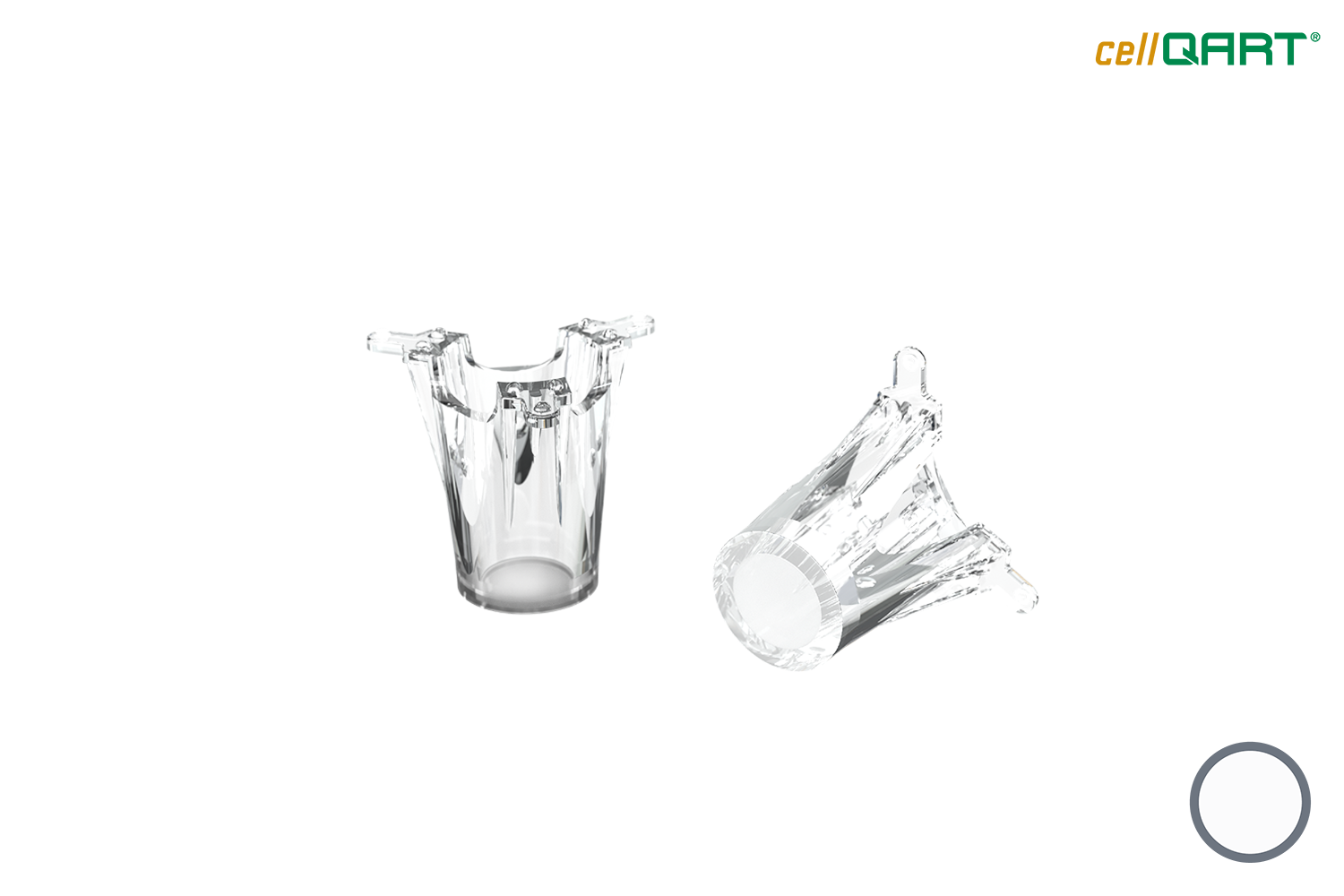 24-Well Insert 3.0 µm PET translucent | 24-Well | Single Insert | 3.0 ...