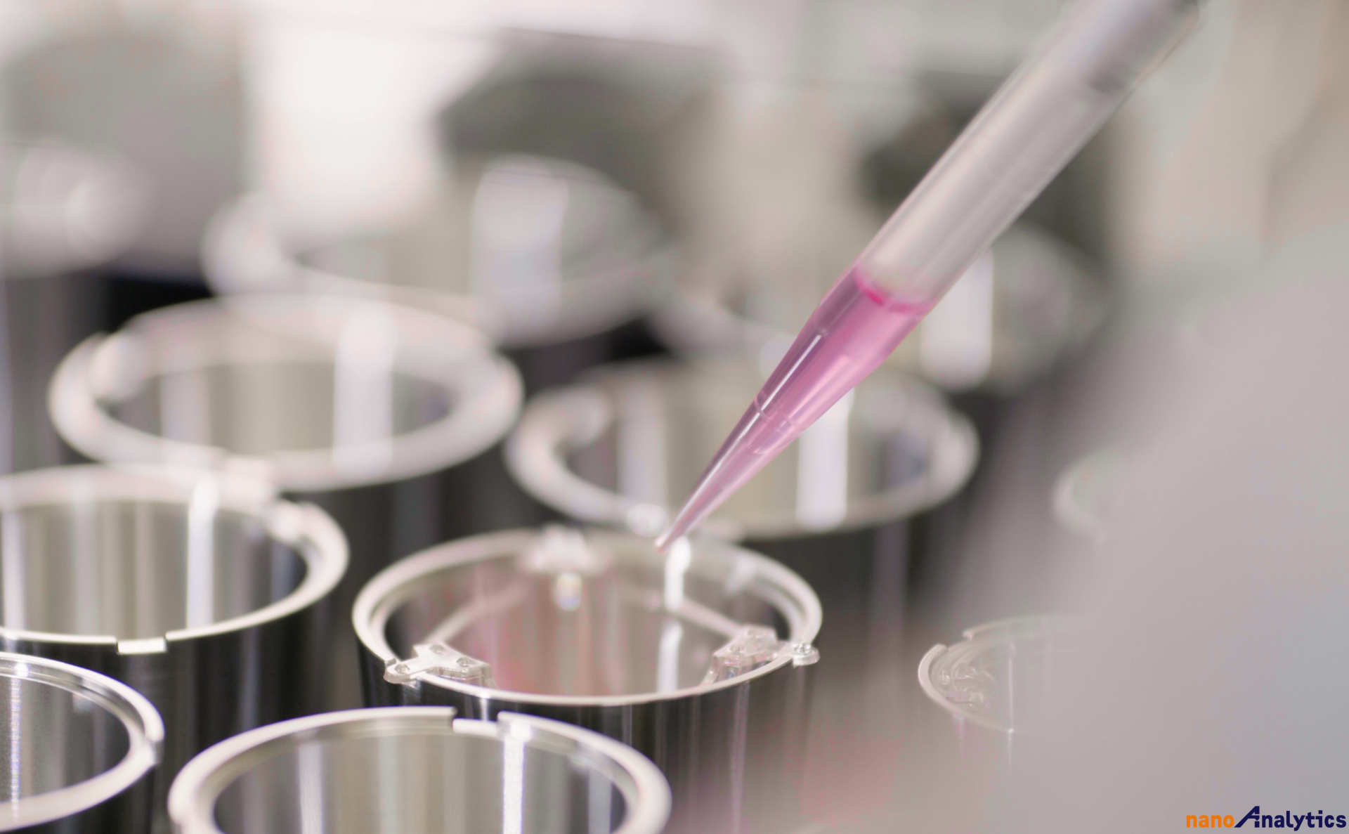 cellZscope® TEER system