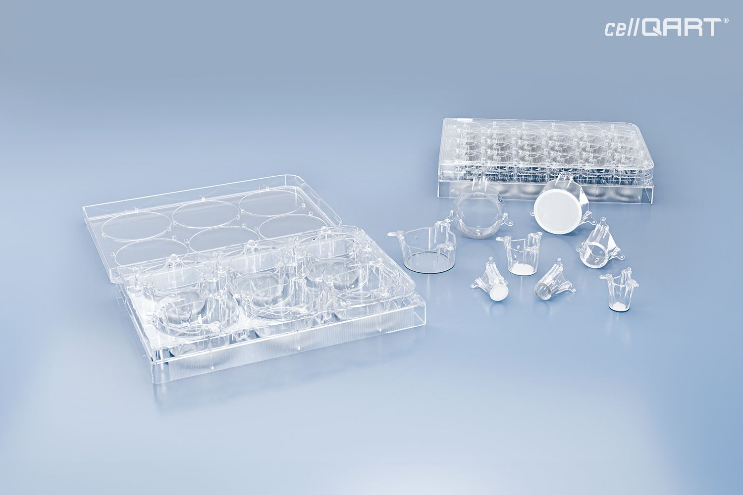 24-Well Insert 0.4 µm PET clear | 24-Well | Single Insert | 0.4 µm ...