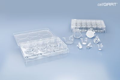 24-Well Insert 0.4 µm PET clear | 24-Well | Single Insert | 0.4 µm ...