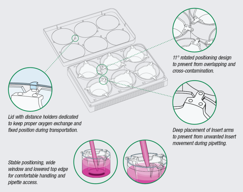 cellQART® Cell Culture Well Plates with Inserts